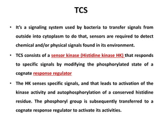 Bacterial two component | PPTX | Chemistry | Science