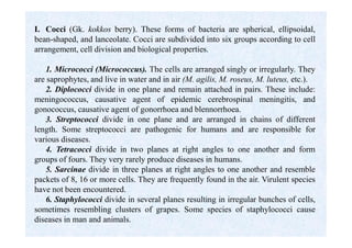 Bacterial ultrastructure. Complex methods of staining (1) (1).pdf