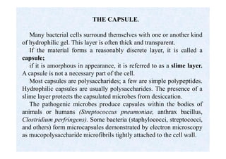 Bacterial ultrastructure. Complex methods of staining (1).pdf