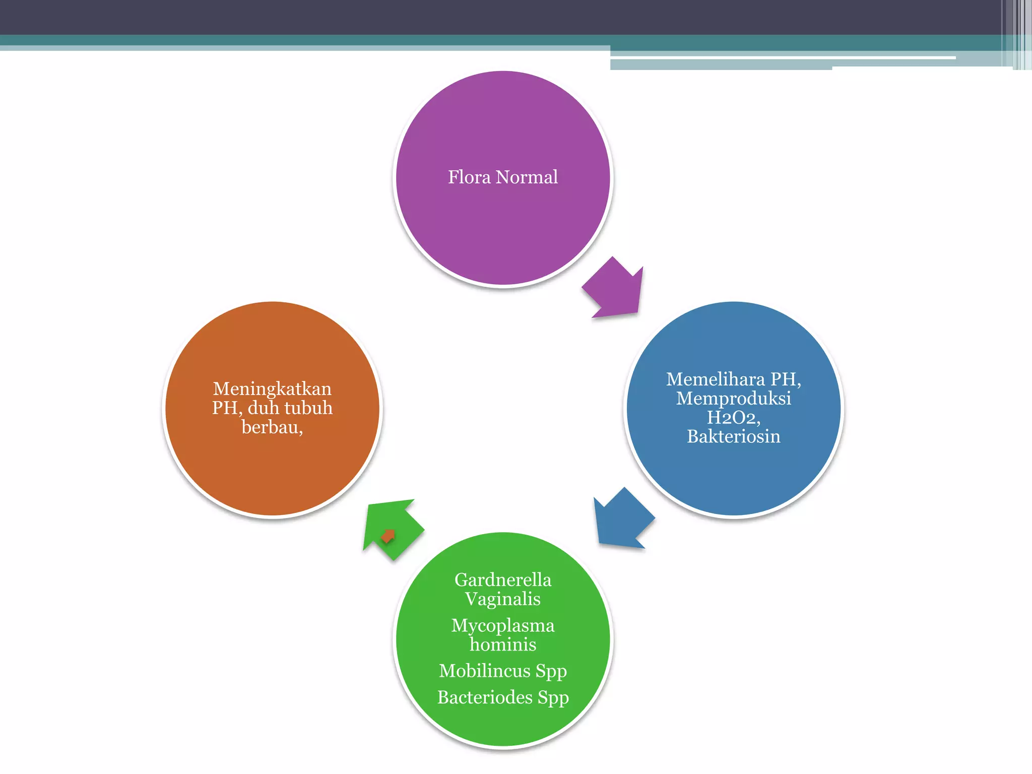 Bacterial vaginosis | PPTX