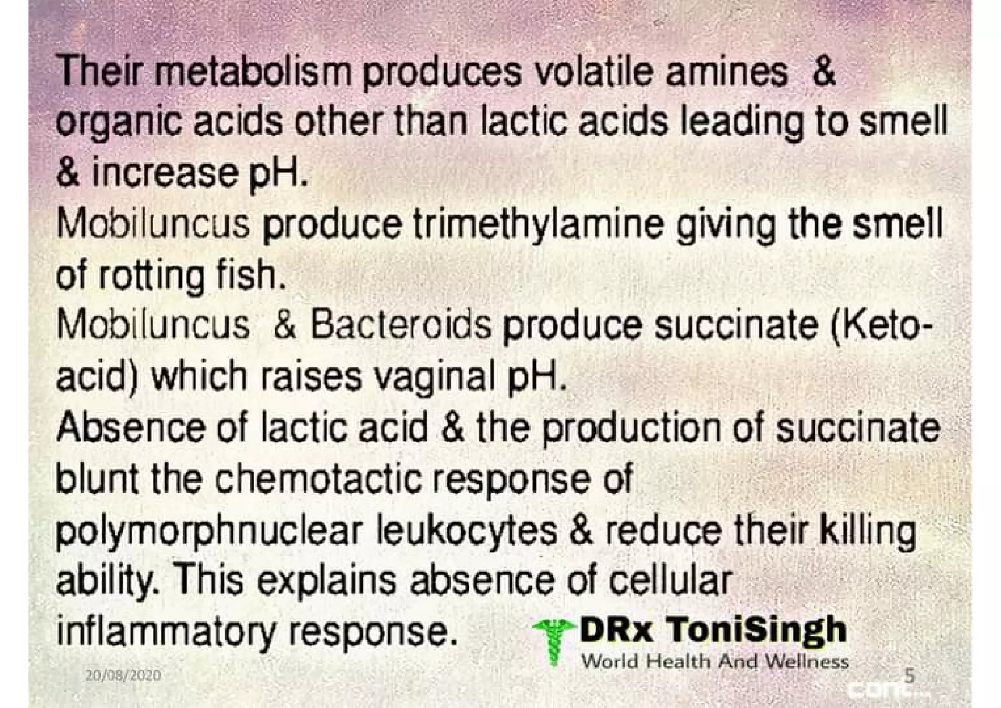 Bacterial vaginosis BV | PDF