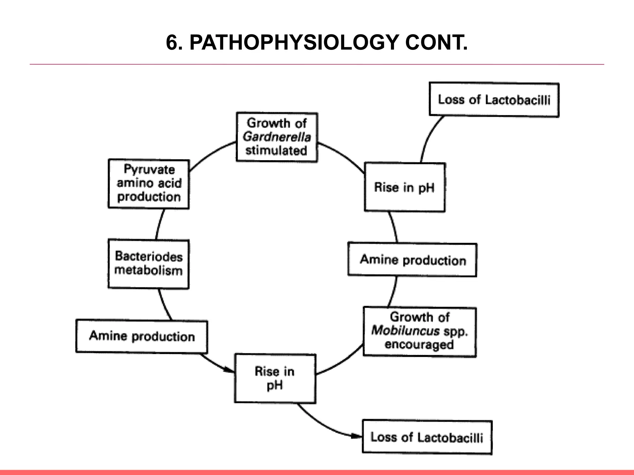 Bacterial Vaginosis.pptx