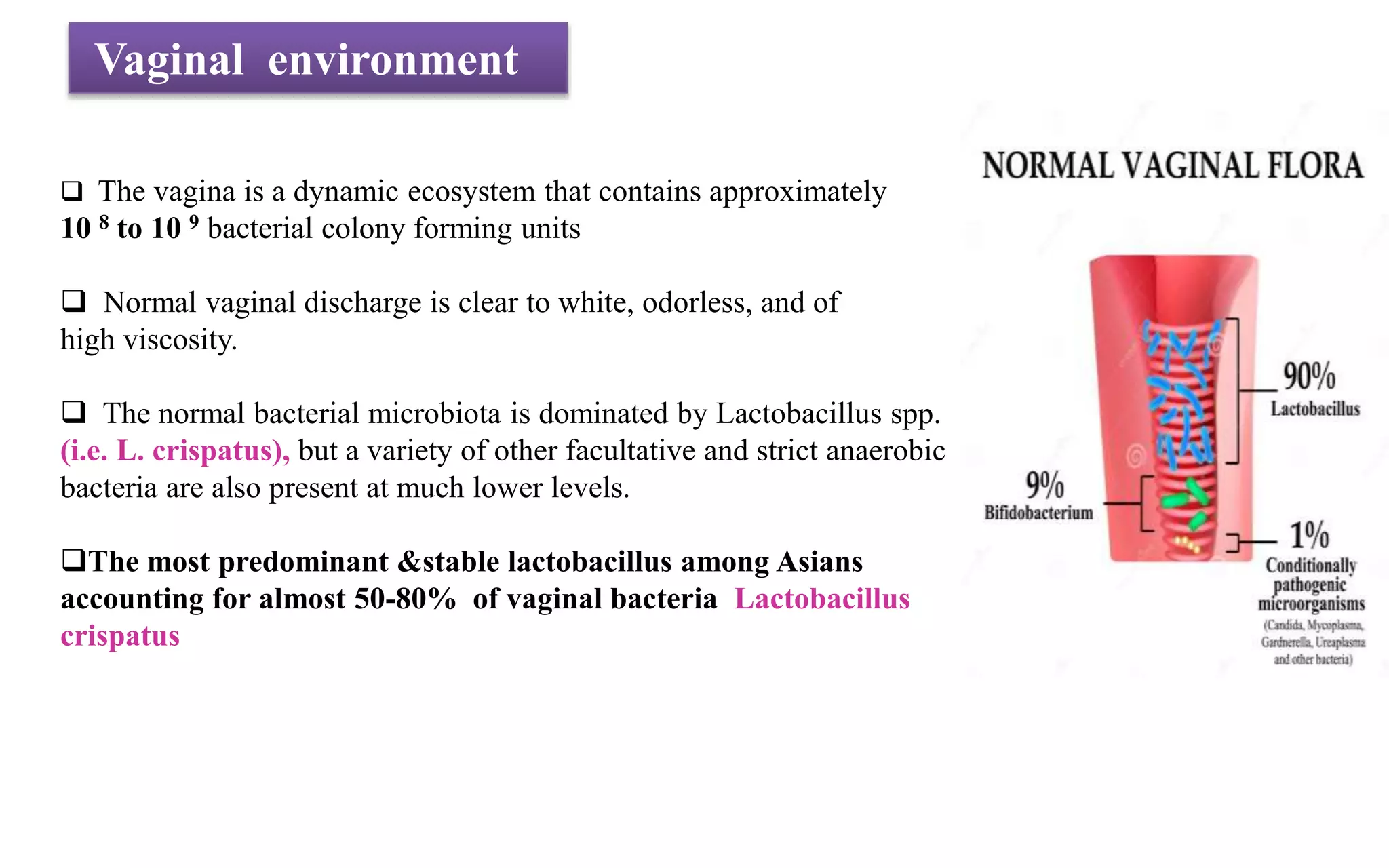 BACTERIAL VAGINOSIS -BV.pptx