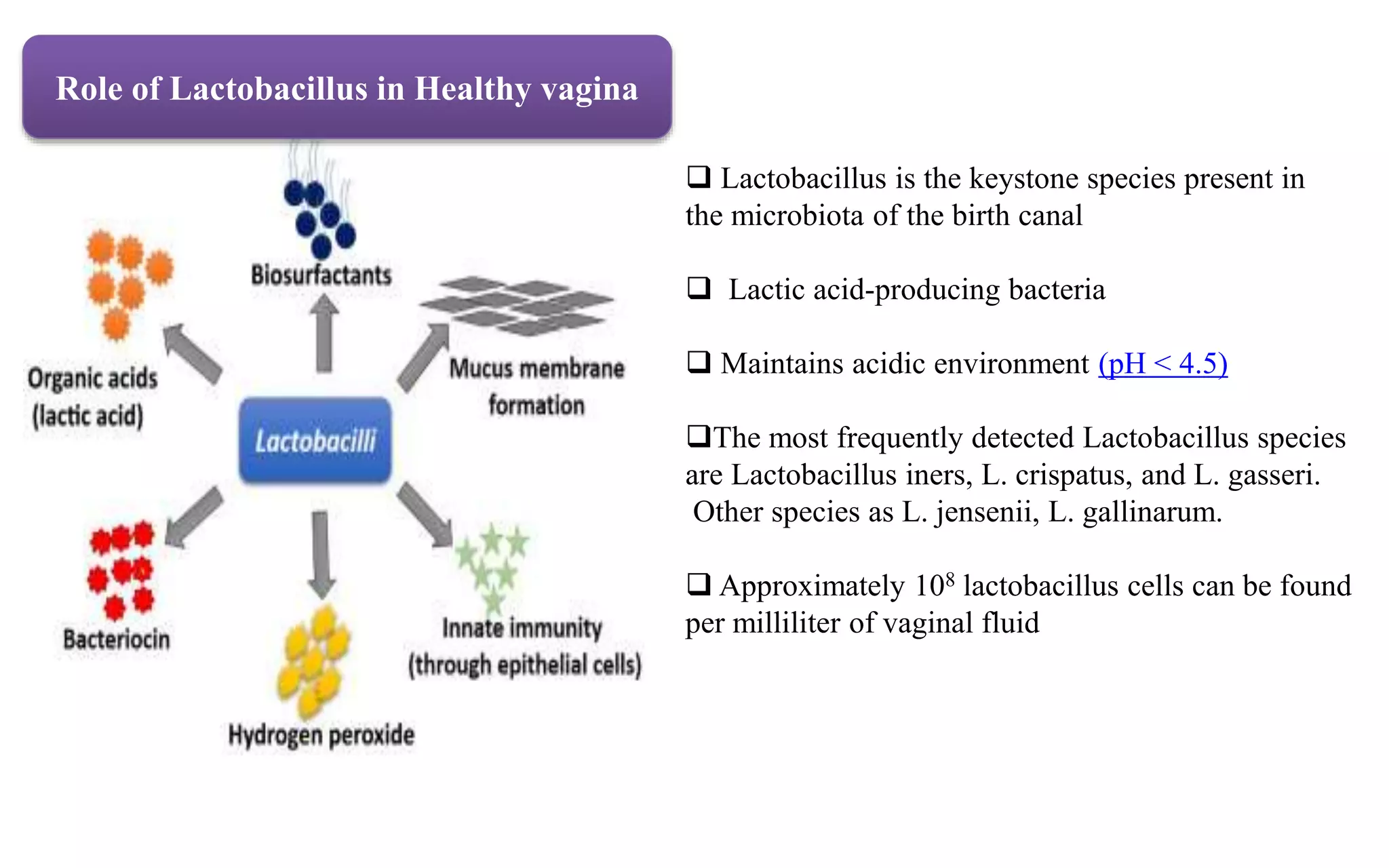 BACTERIAL VAGINOSIS -BV.pptx