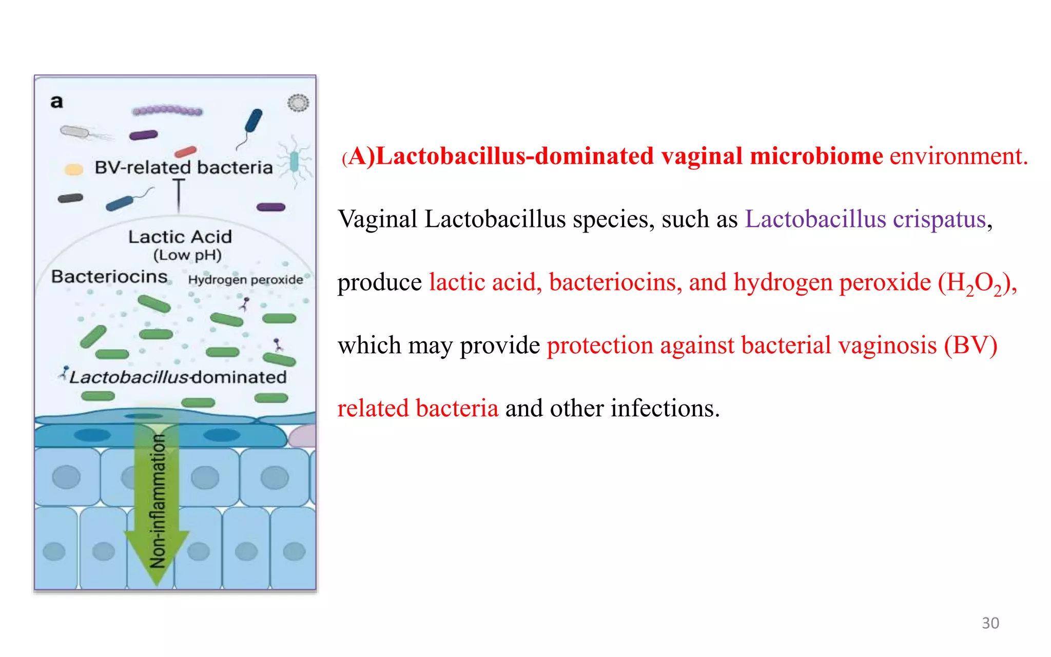 BACTERIAL VAGINOSIS -BV.pptx