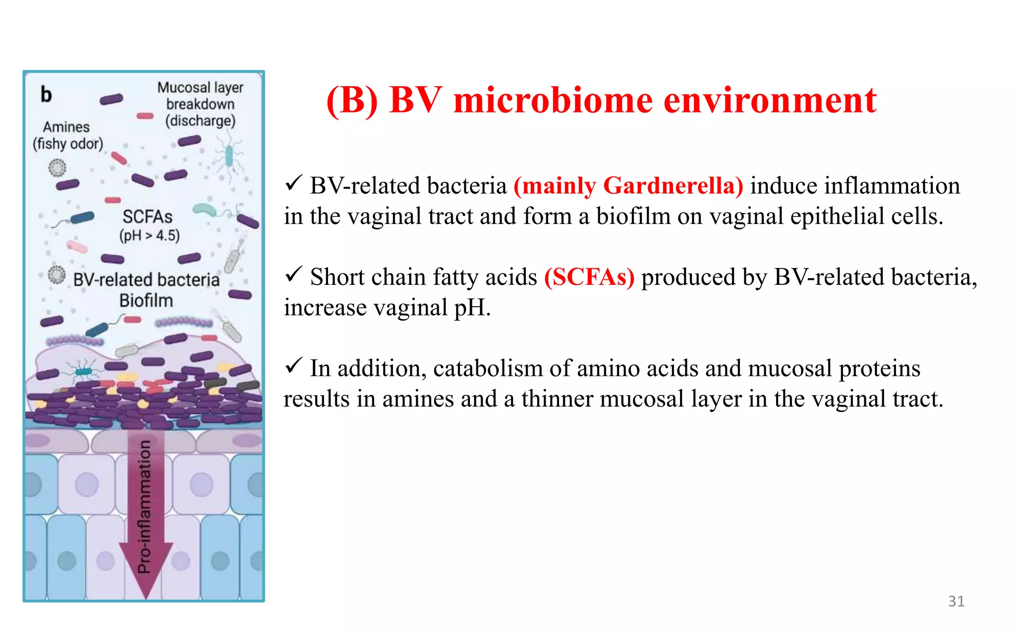 BACTERIAL VAGINOSIS -BV.pptx