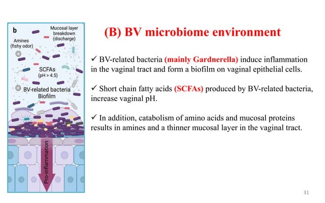 BACTERIAL VAGINOSIS -BV.pptx