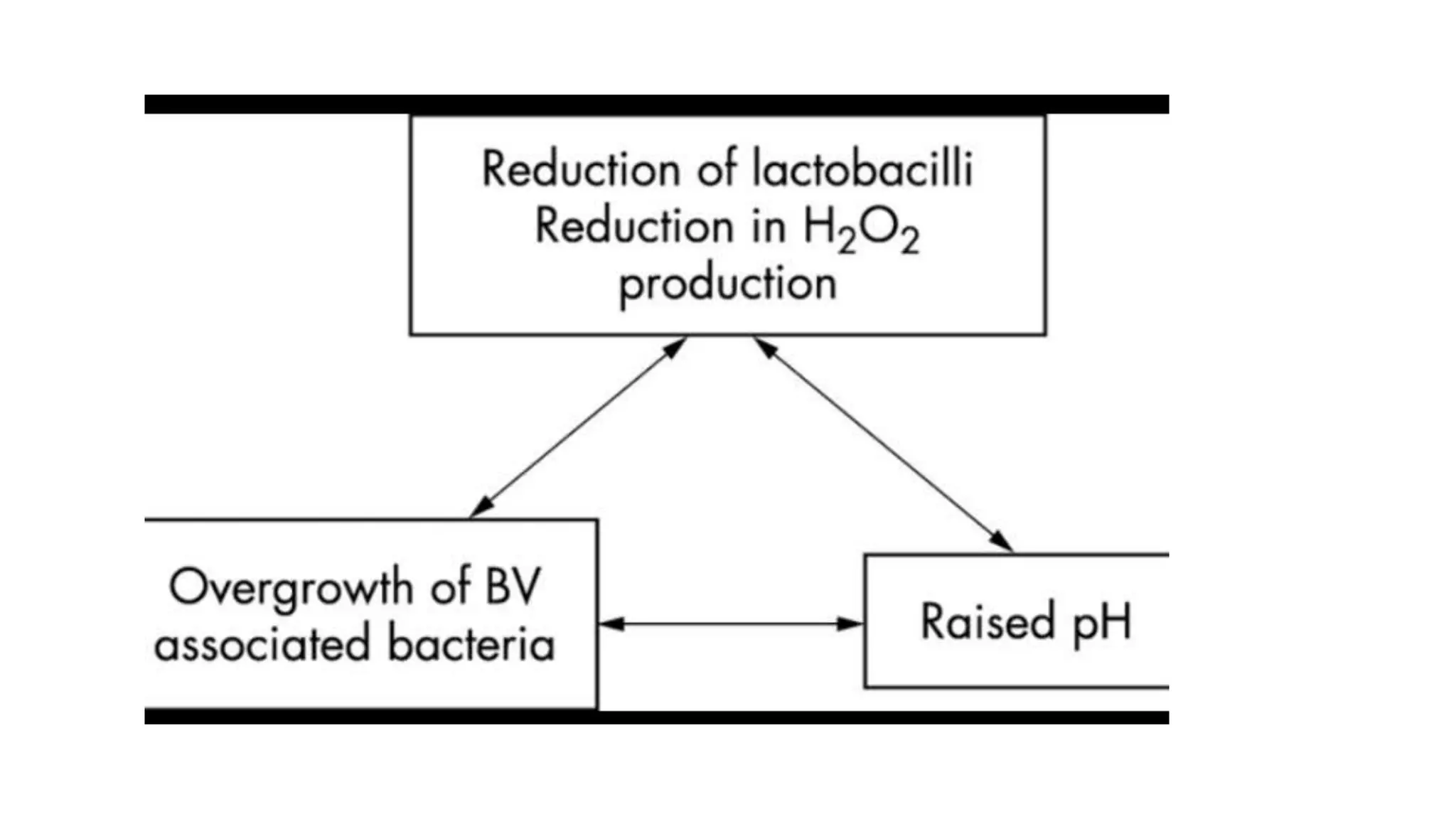 BACTERIAL VAGINOSIS final.pptx
