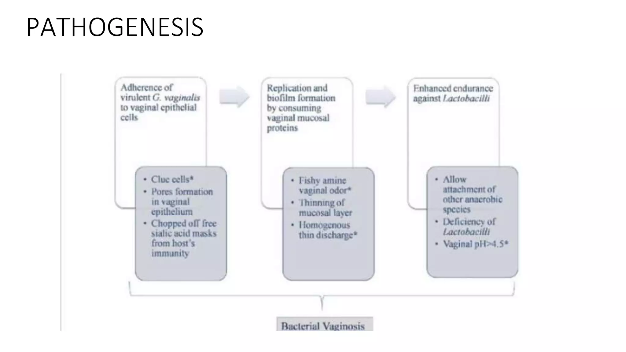 BACTERIAL VAGINOSIS final.pptx