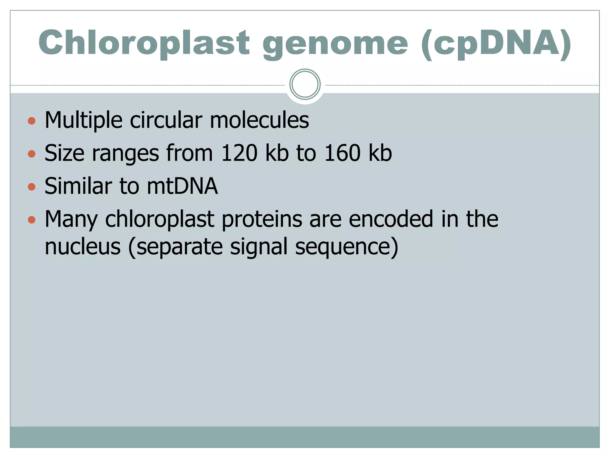 Bacterial, viral genome organisation | PPTX