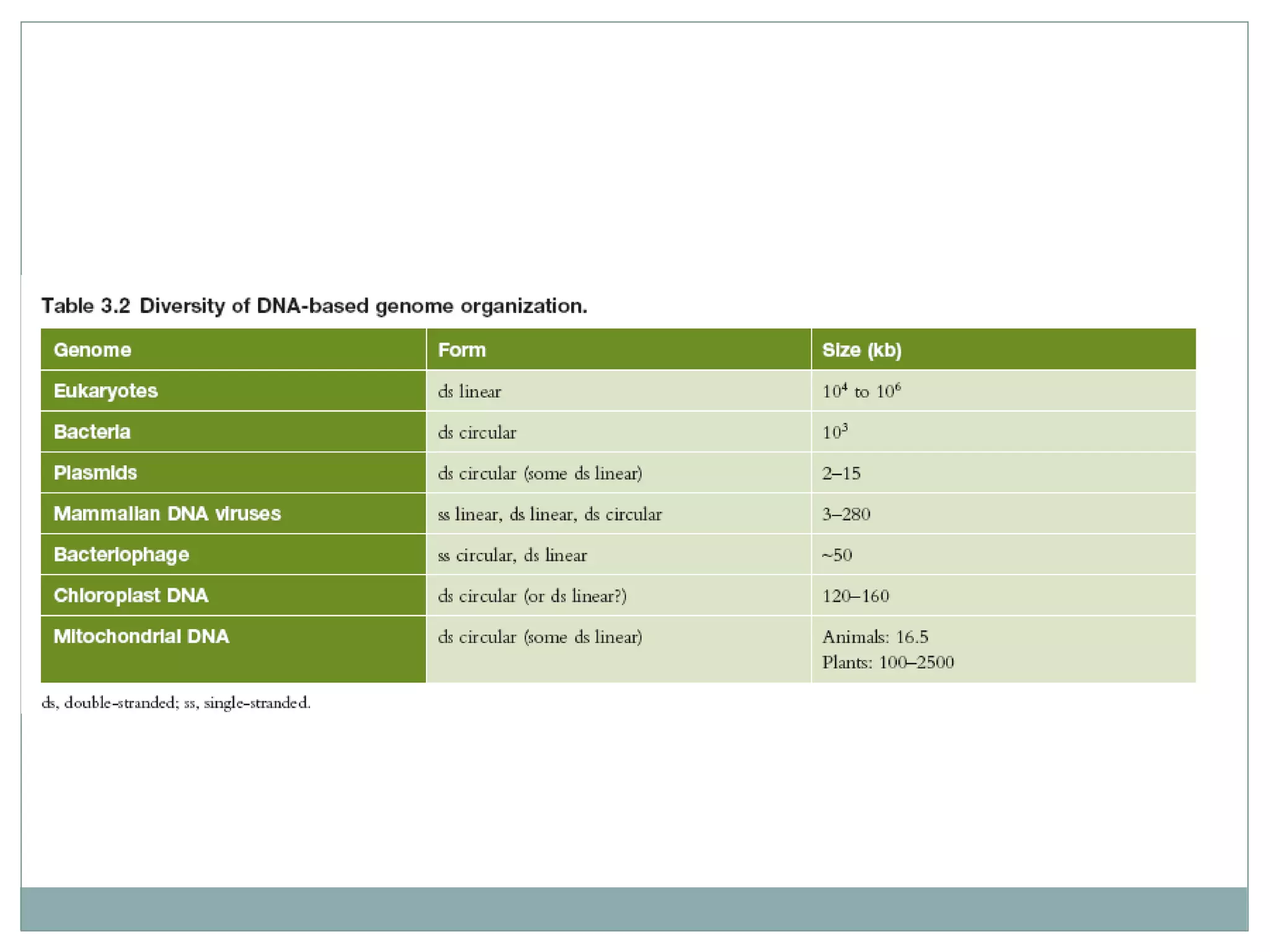 Bacterial, viral genome organisation | PPTX
