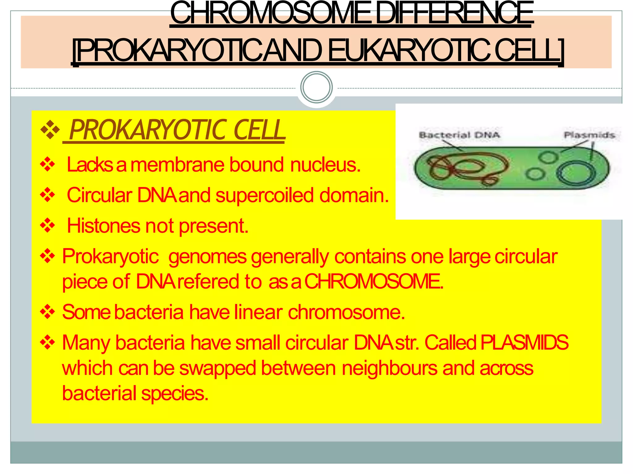 Bacterial, viral genome organisation | PPTX