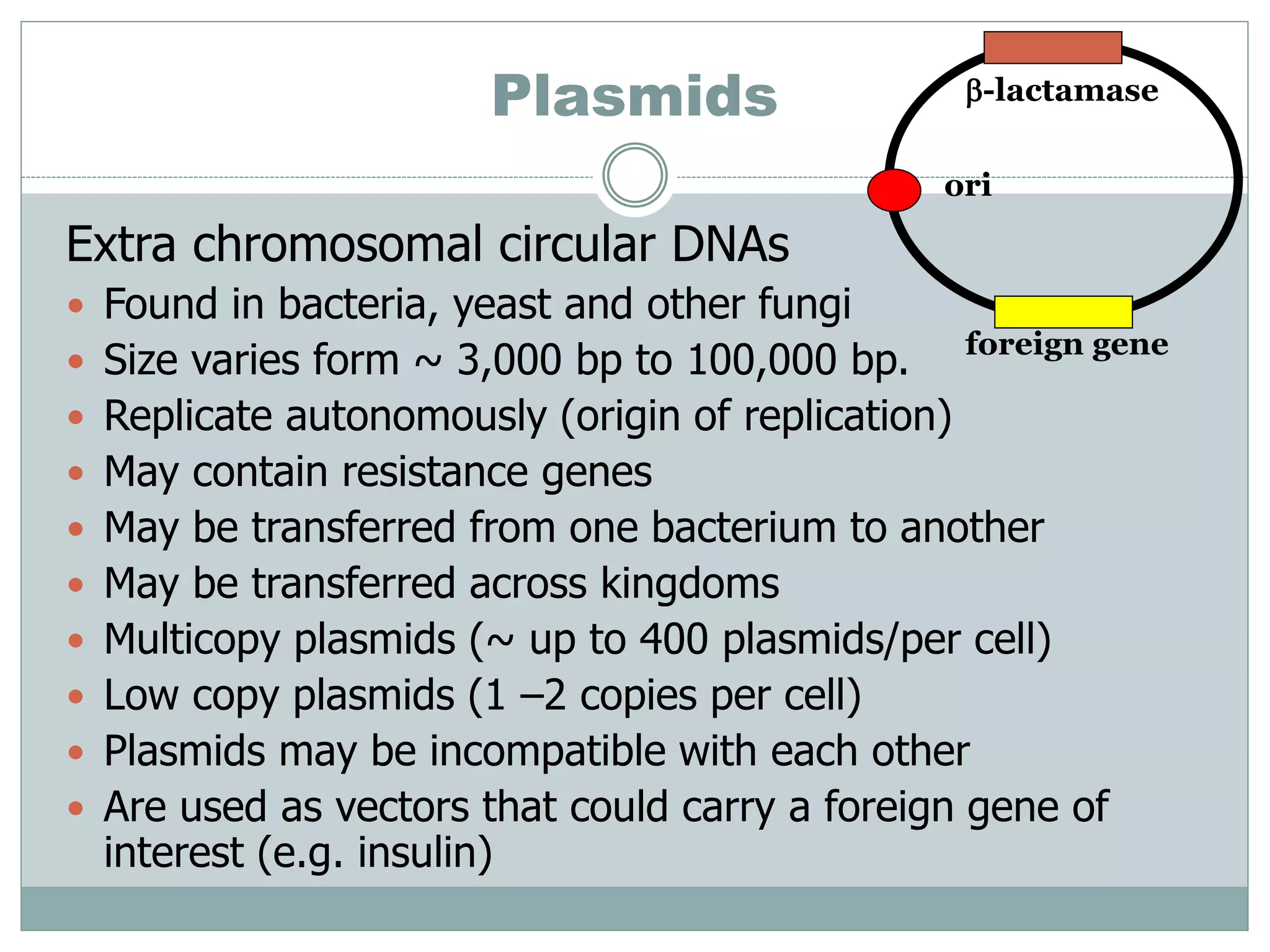 Bacterial, viral genome organisation | PPTX