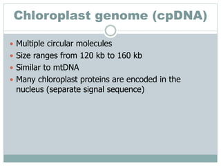 Bacterial, viral genome organisation | PPTX