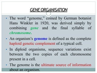 Bacterial, viral genome organisation | PPTX
