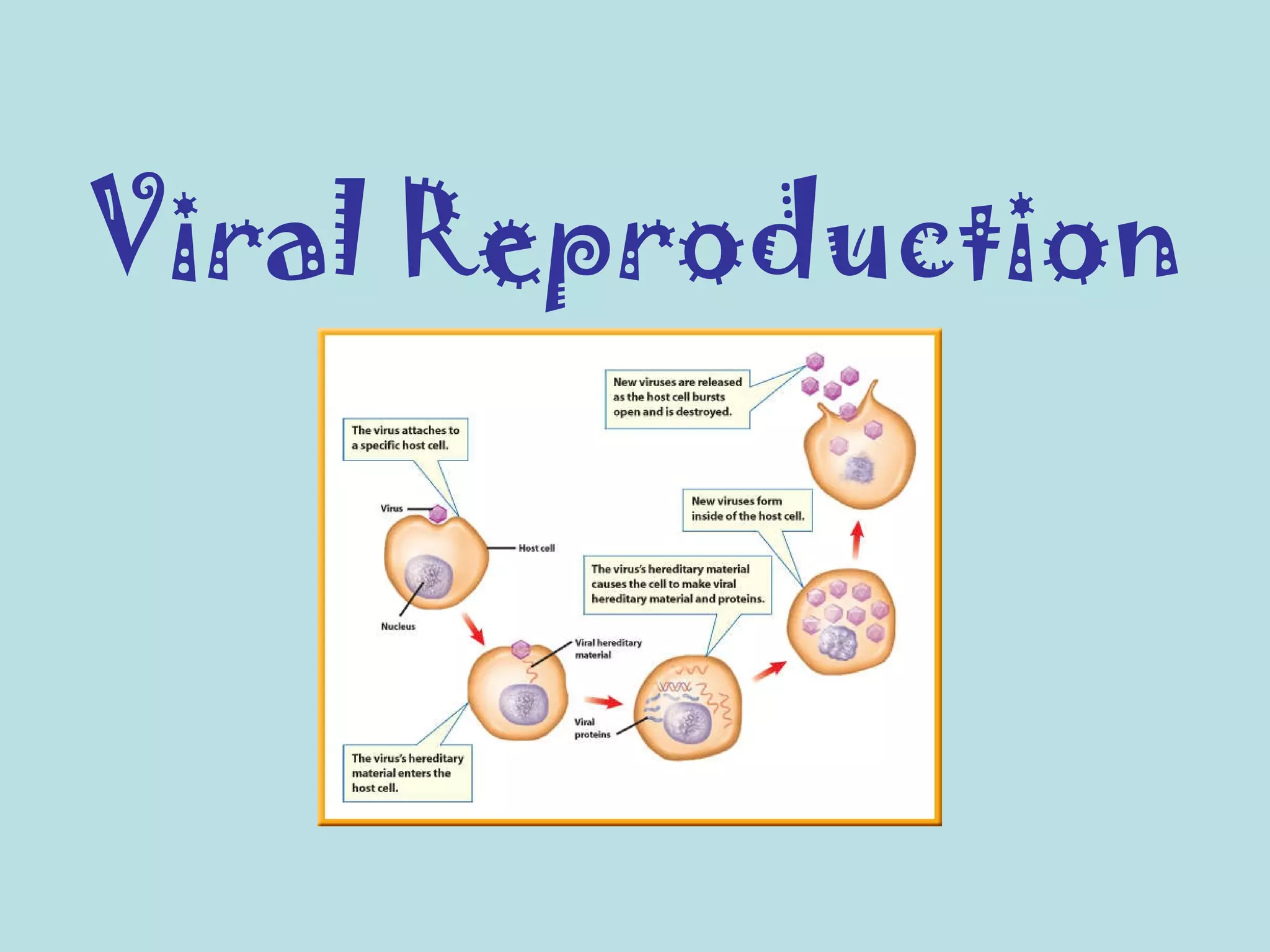 Bacterial & Viral Reproduction | PPT