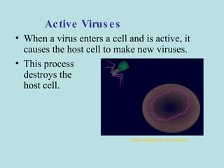 Bacterial & Viral Reproduction | PPT