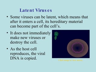 Bacterial & Viral Reproduction | PPT