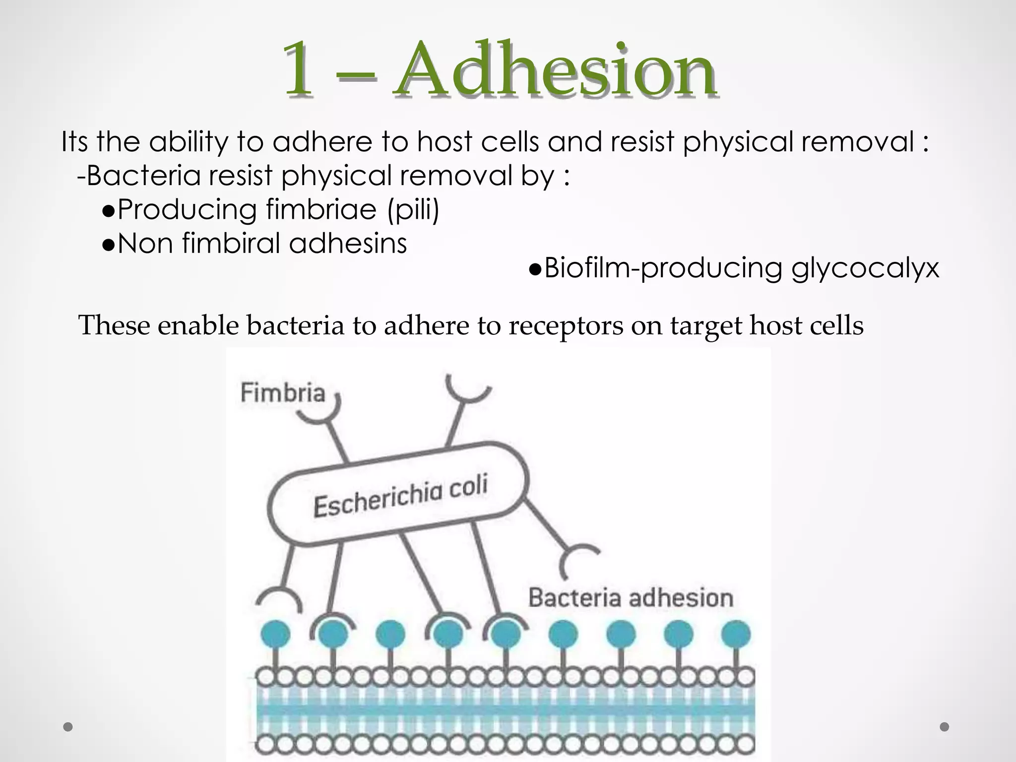 Bacterial virulence factors | PPTX