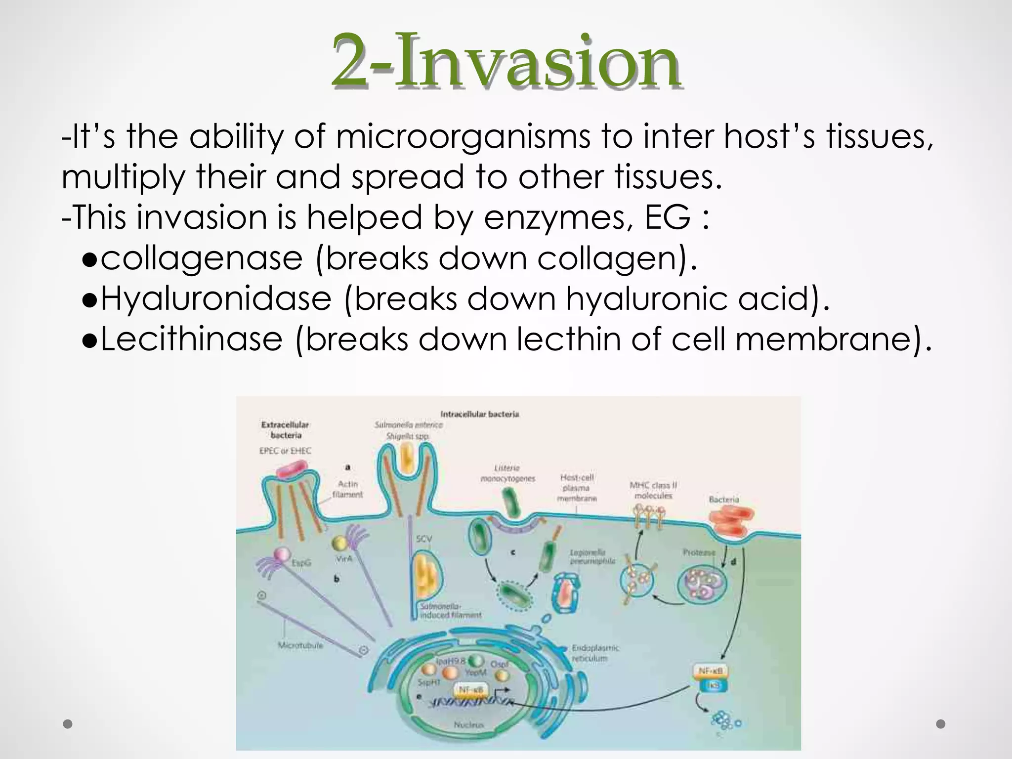 Bacterial virulence factors | PPTX