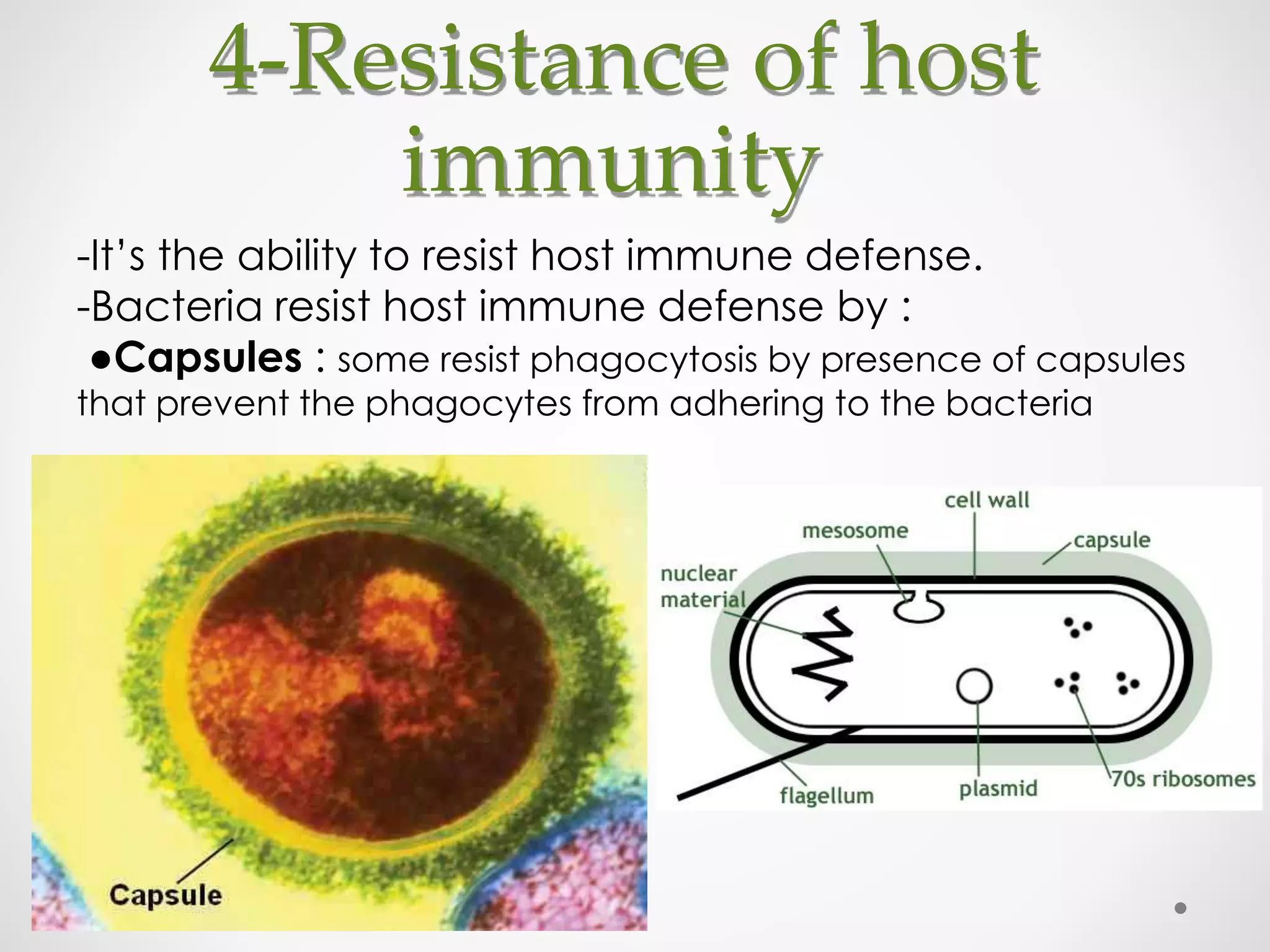 Bacterial virulence factors | PPTX