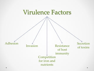 Bacterial virulence factors | PPTX