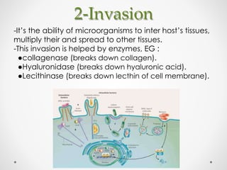 Bacterial virulence factors | PPTX