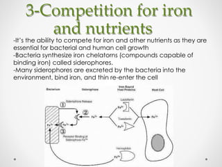 Bacterial virulence factors | PPTX