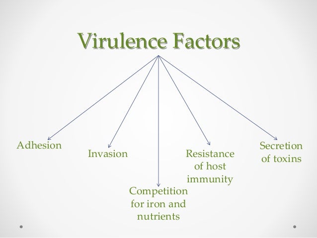 Bacterial virulence factors