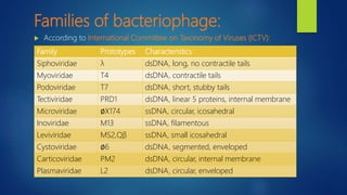 Bacterial virus (Bacteriophage) | PPTX