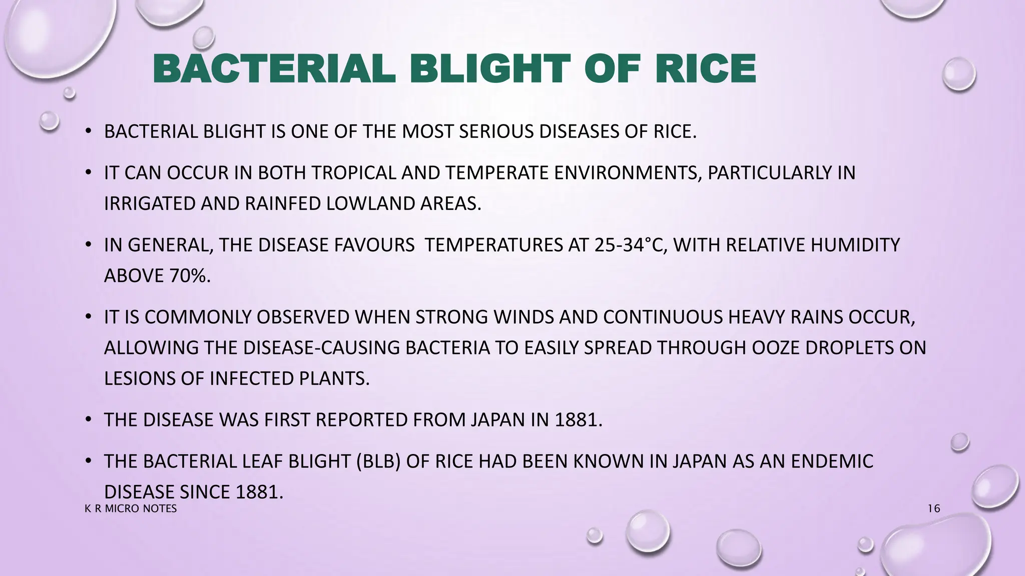 Bacterial wilt and bacterial blight of rice K R.pptx