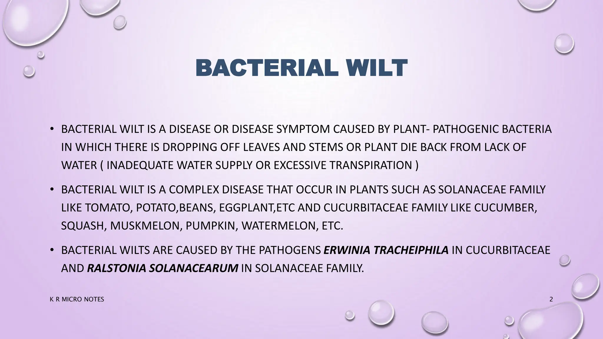 Bacterial wilt and bacterial blight of rice K R.pptx