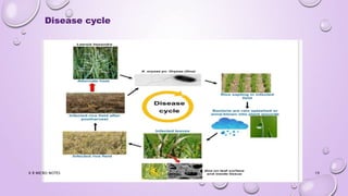 Bacterial wilt and bacterial blight of rice K R.pptx