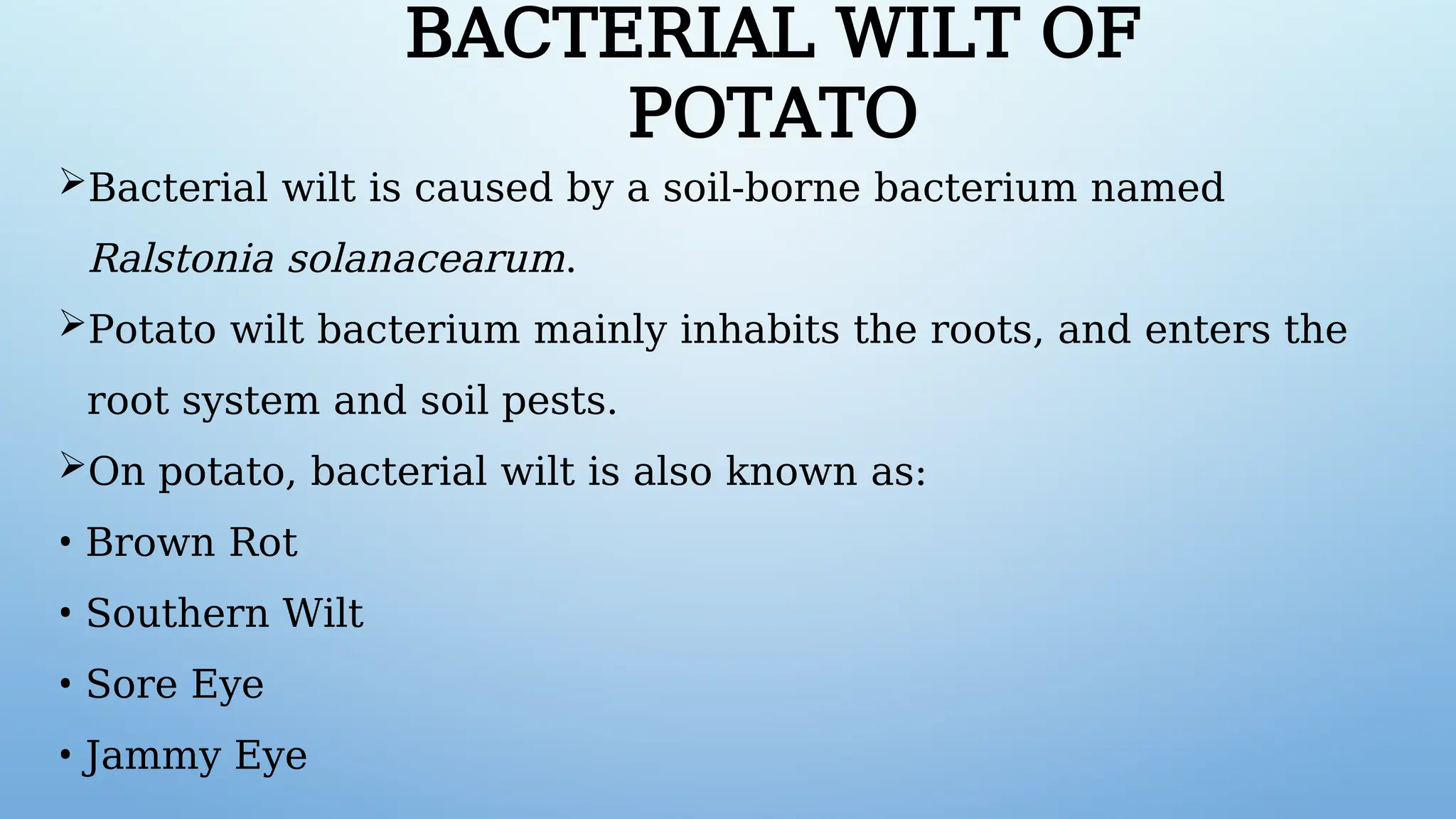 Bacterial Wilt of Potato (Bacterial Disease) | PPTX