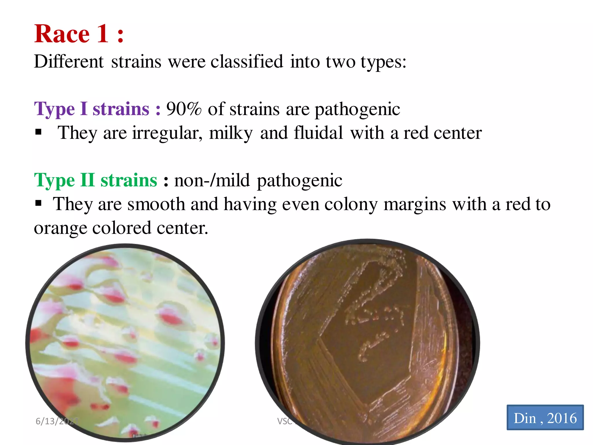 Bacterial wilt resistance breeding in brinjal | PDF