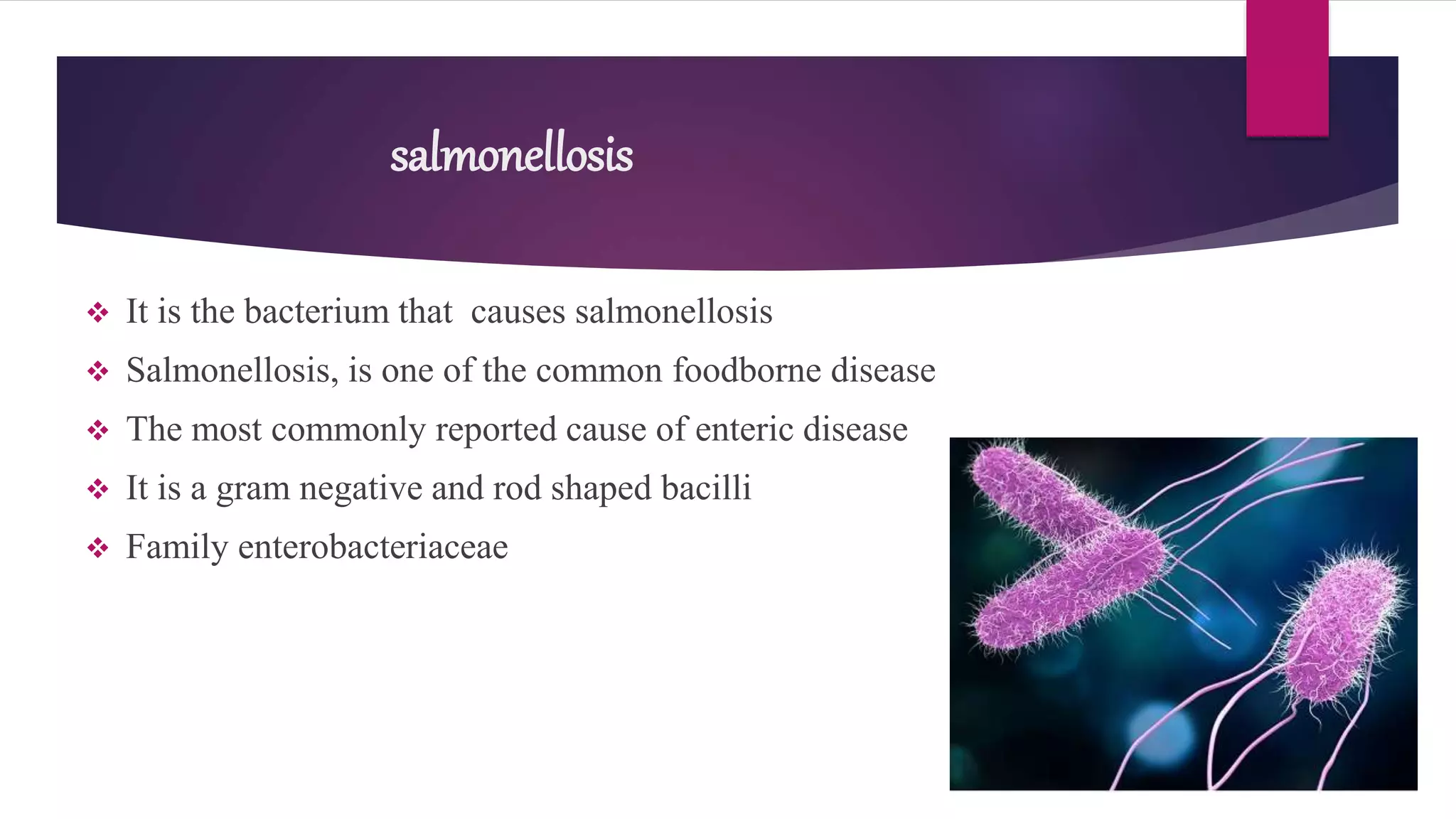 BACTERIAL ZOONOSES.pptx | Infectious Diseases | Diseases and Conditions