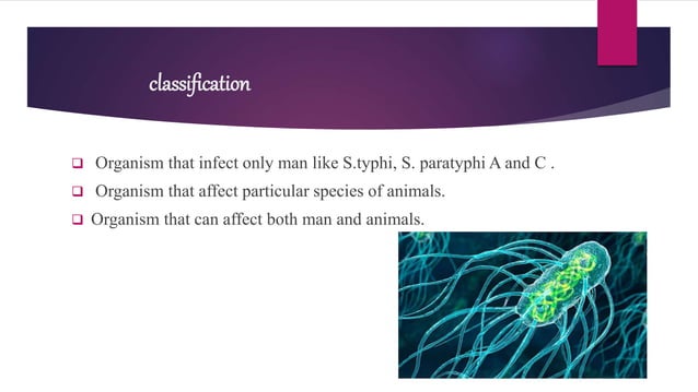BACTERIAL ZOONOSES.pptx | Infectious Diseases | Diseases and Conditions