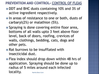 Bacterial zoonosis - Plague | PDF | Infectious Diseases | Diseases and ...