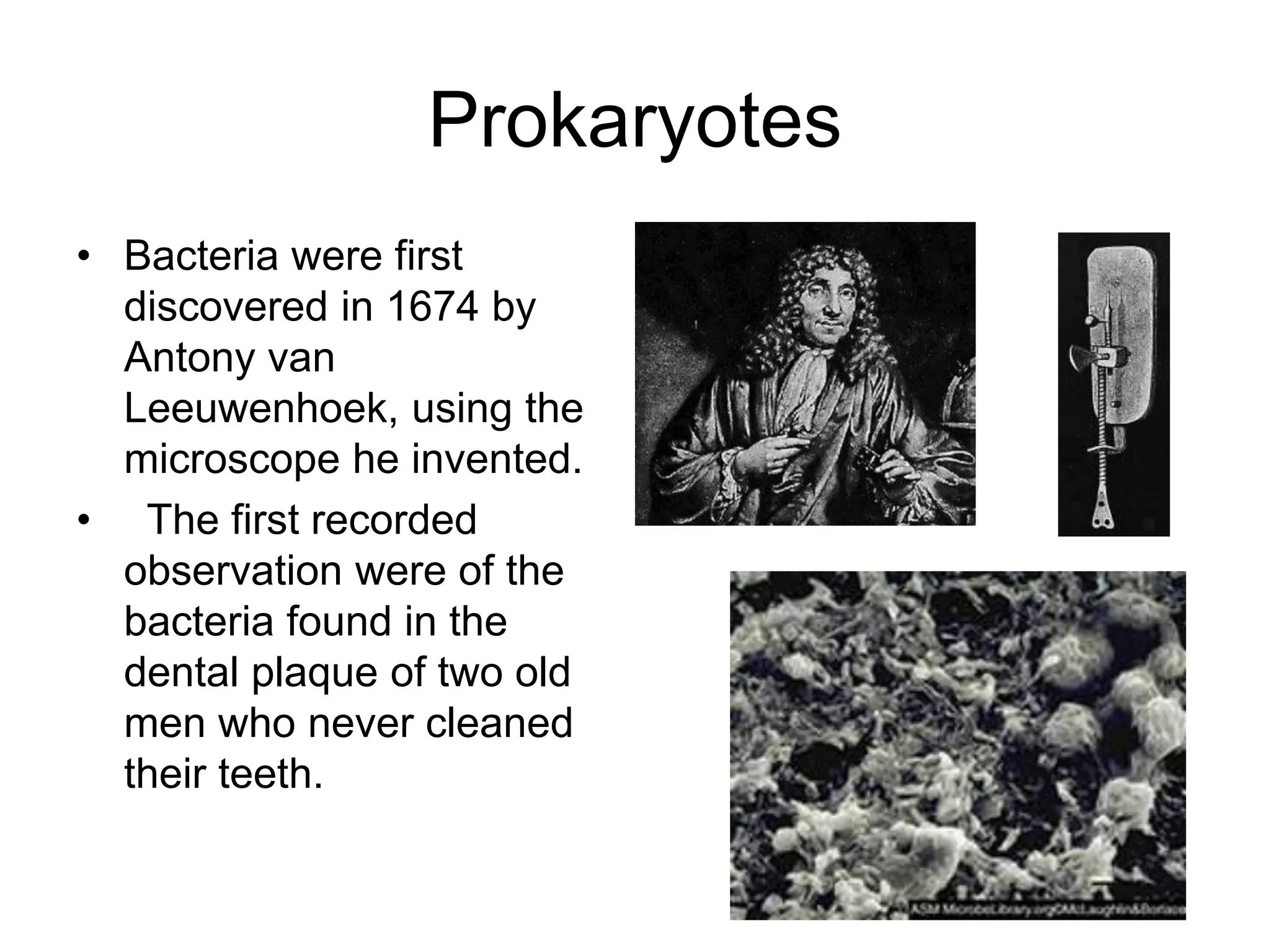 Bacteria Introduction | PPT