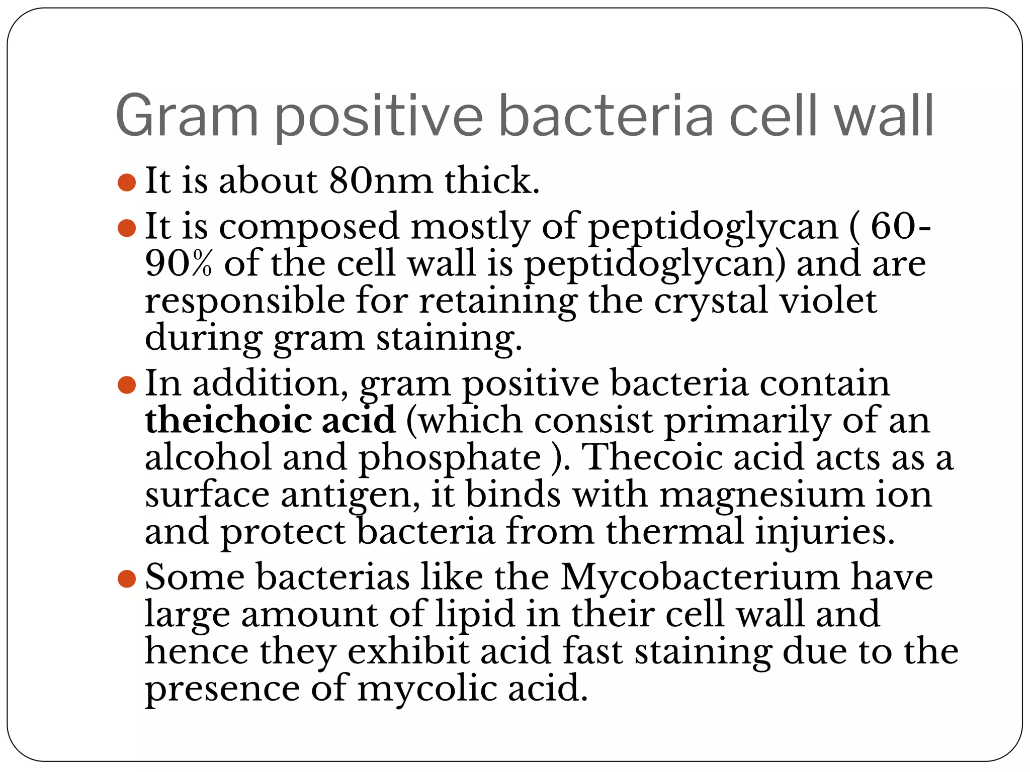 BACTERIA MORPHOLOGY-1.pptx