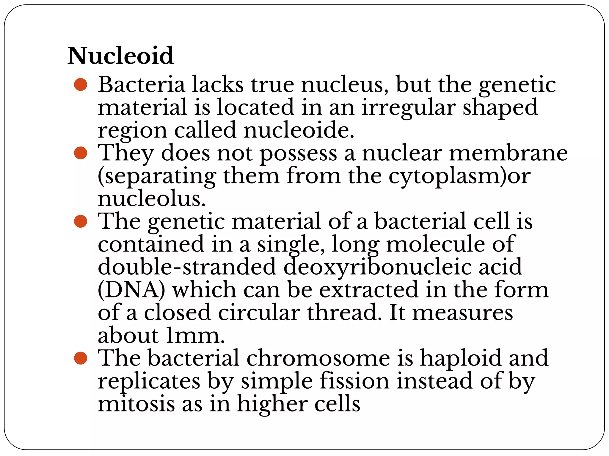 BACTERIA MORPHOLOGY-1.pptx