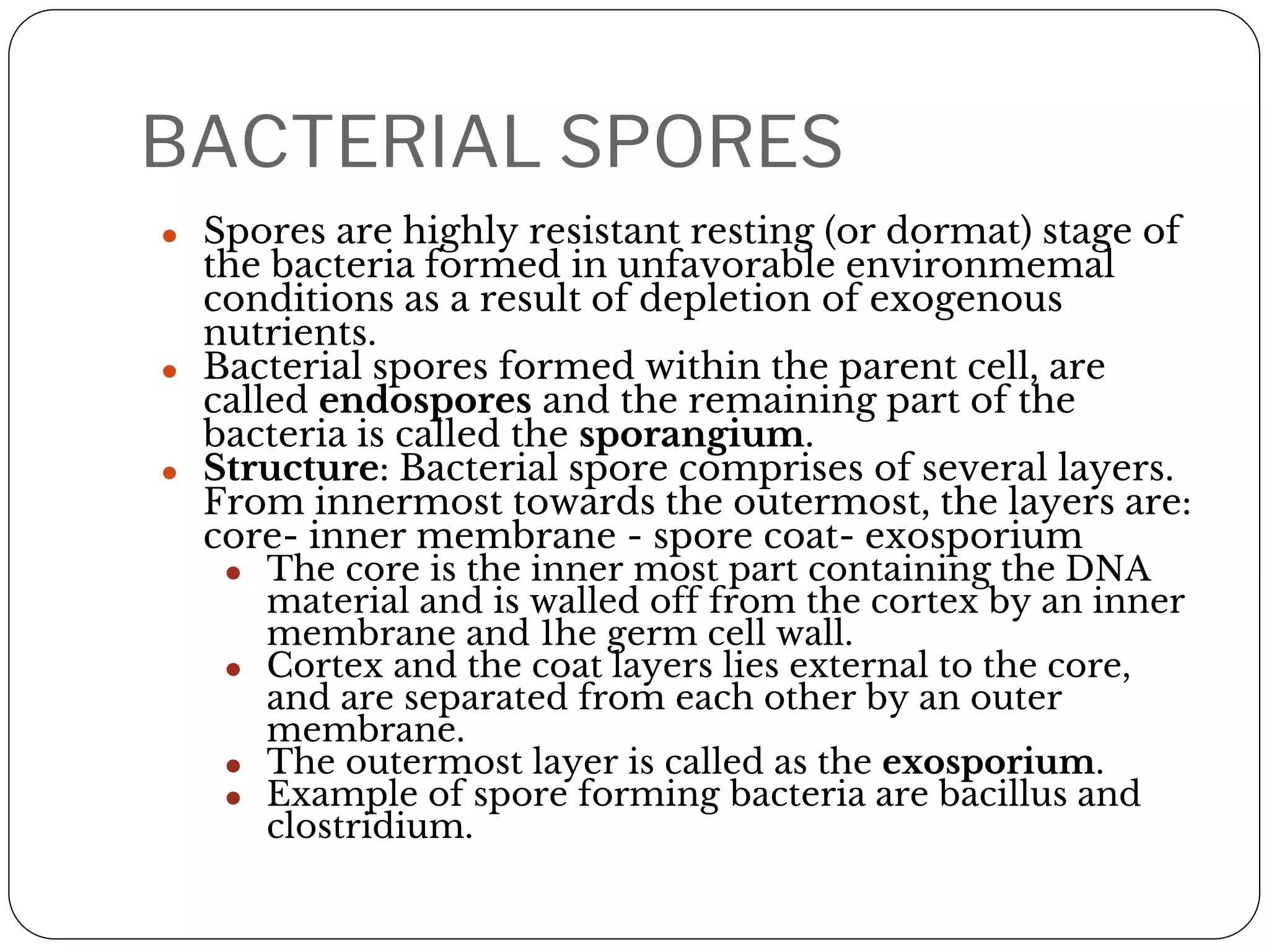 BACTERIA MORPHOLOGY-1.pptx