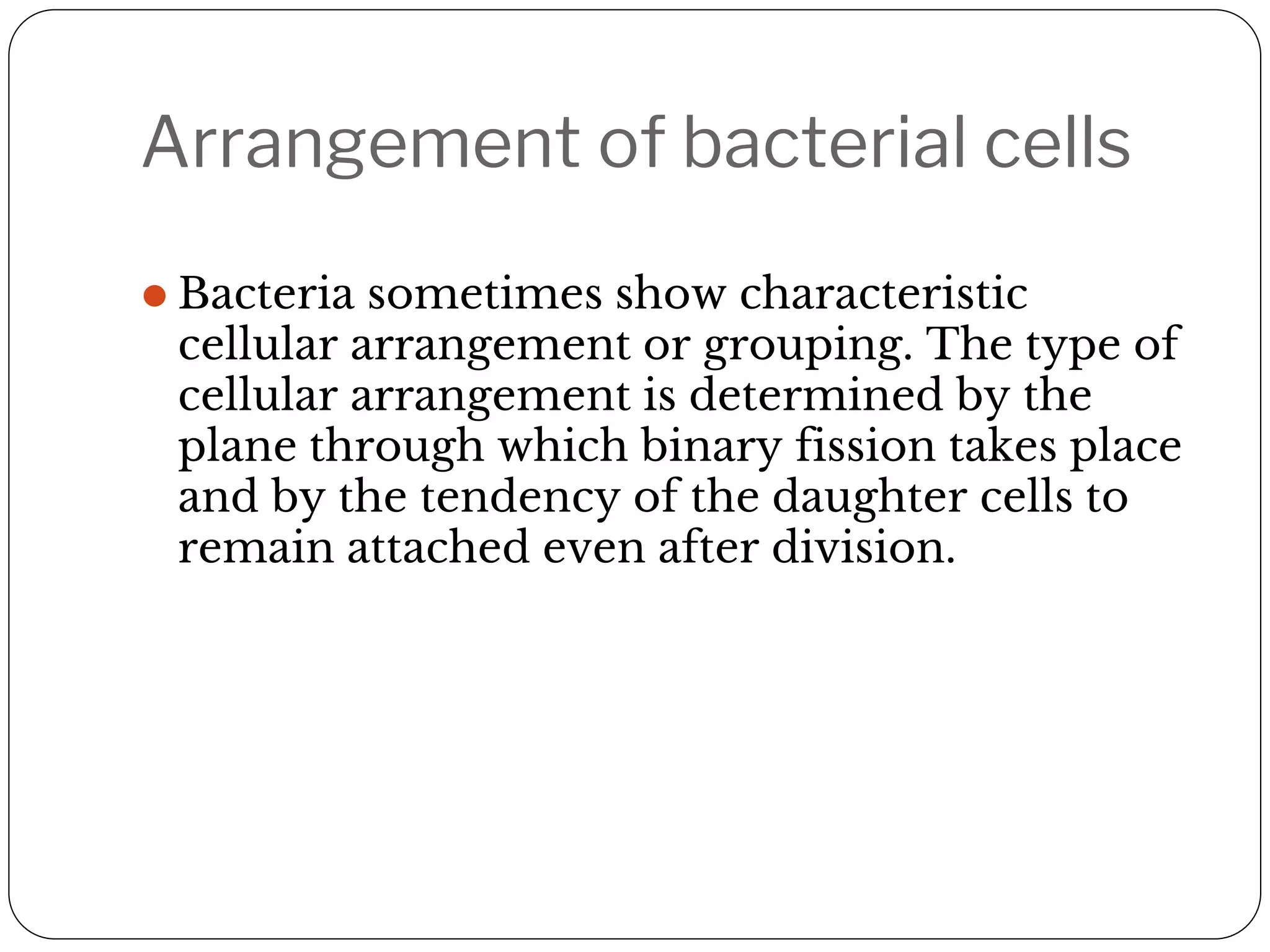 BACTERIA MORPHOLOGY-1.pptx