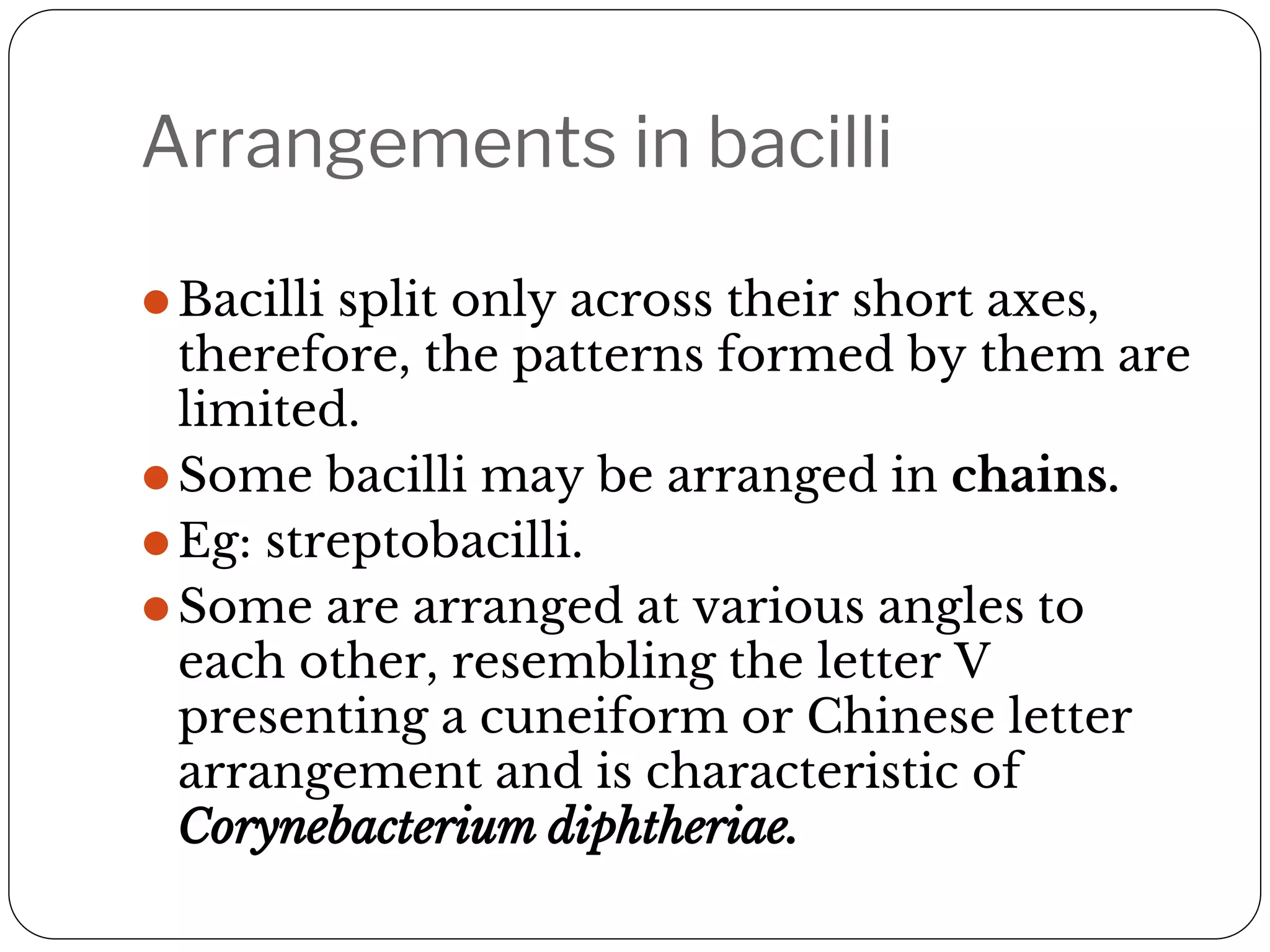 BACTERIA MORPHOLOGY-1.pptx