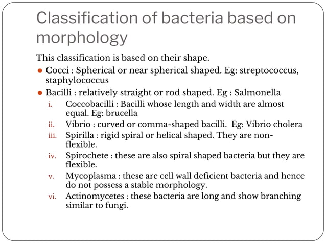 BACTERIA MORPHOLOGY-1.pptx