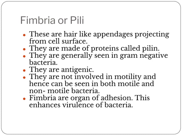 BACTERIA MORPHOLOGY-1.pptx