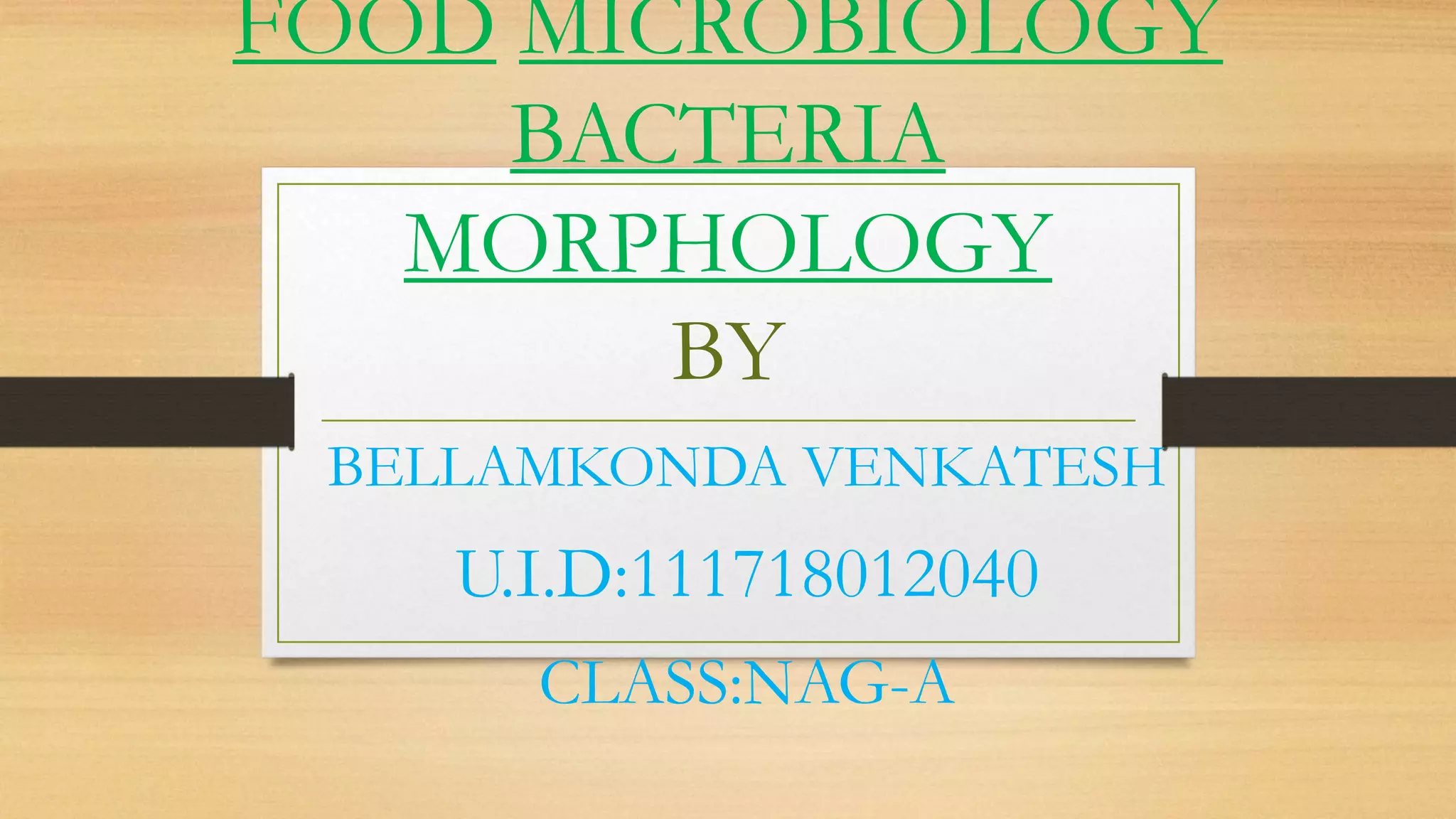 Bacteria morphology | PPTX