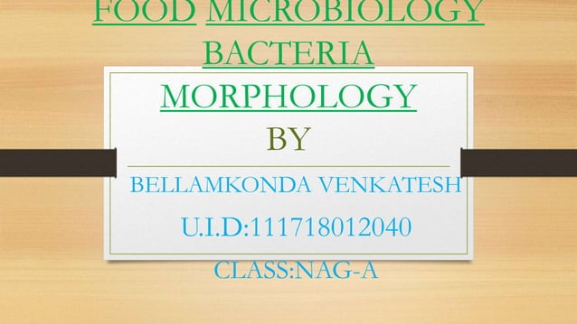 Bacteria morphology | PPT
