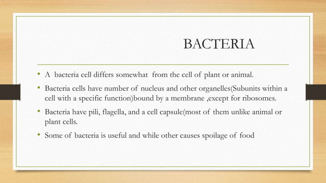 Bacteria morphology | PPT