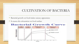 Bacteria morphology | PPTX